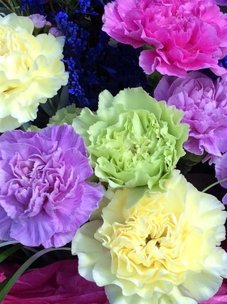 Carnation vase arrangement